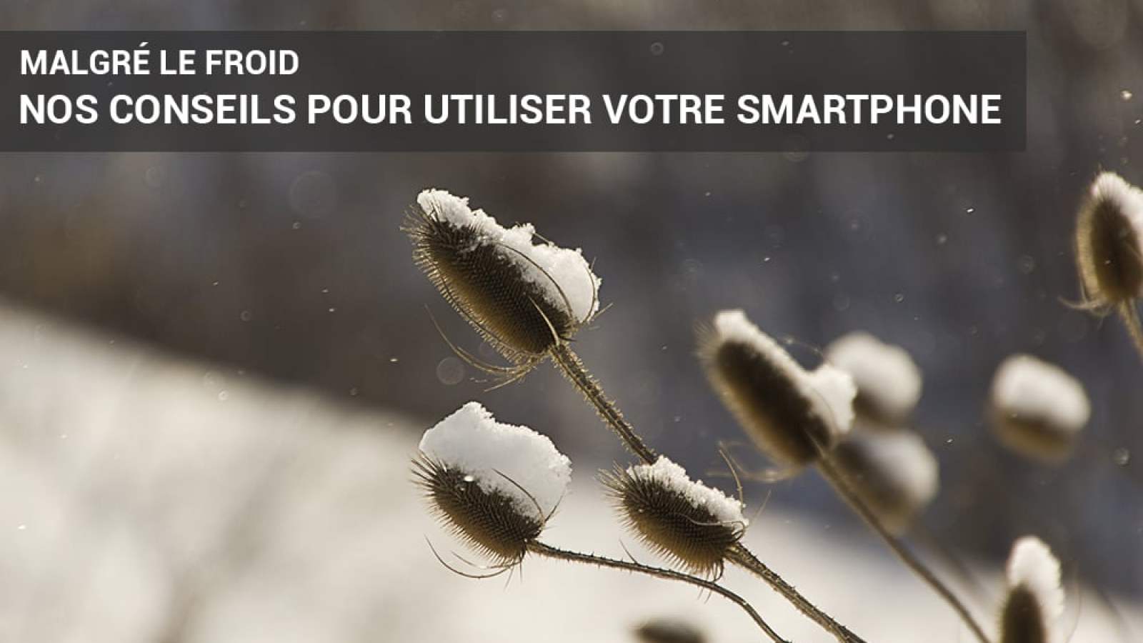5 conseils pour utiliser votre smartphone sans craindre le froid