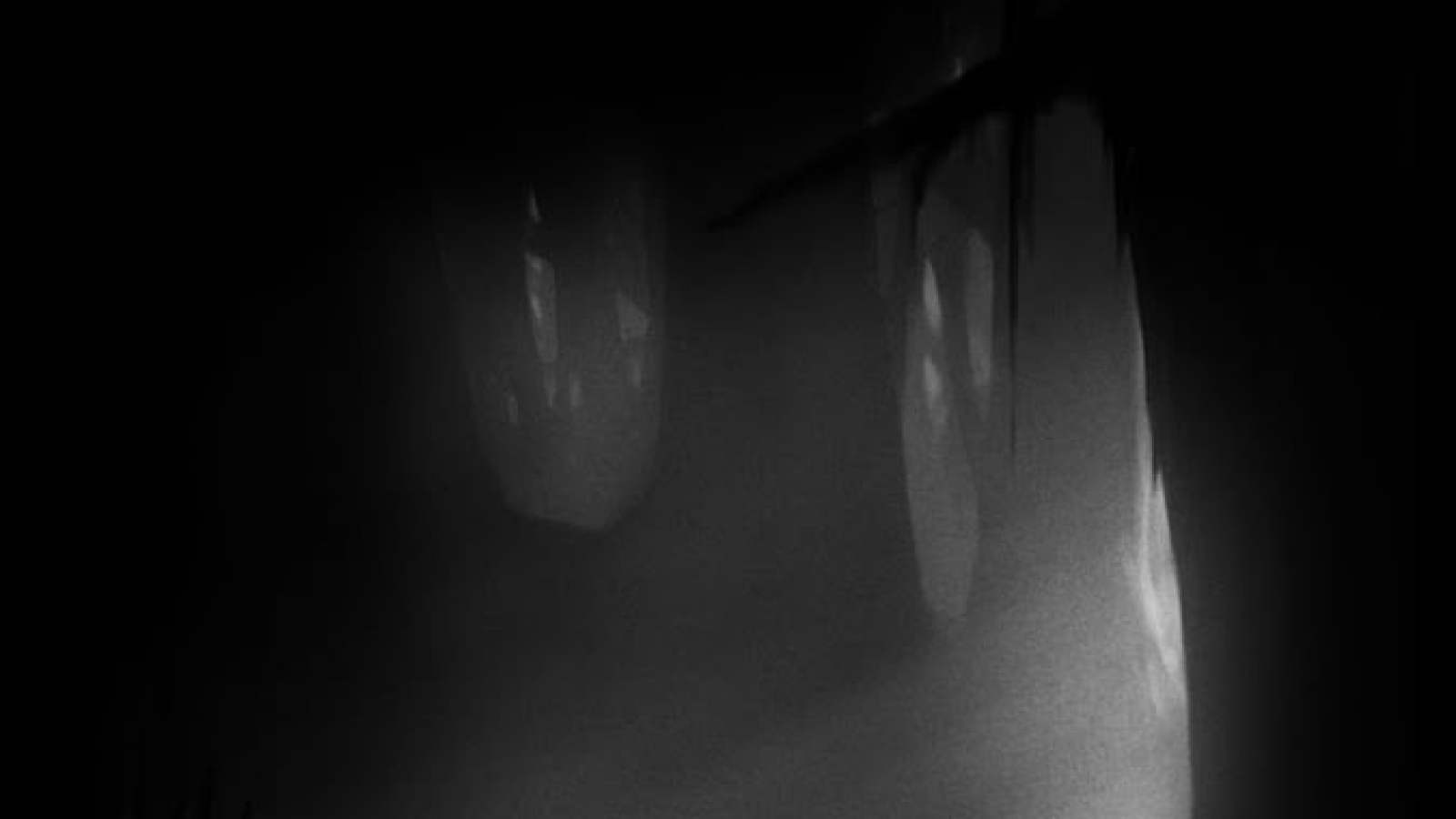 🔥 Bon plan : le jeu Limbo est à 0,50 euro sur le Play Store — Frandroid