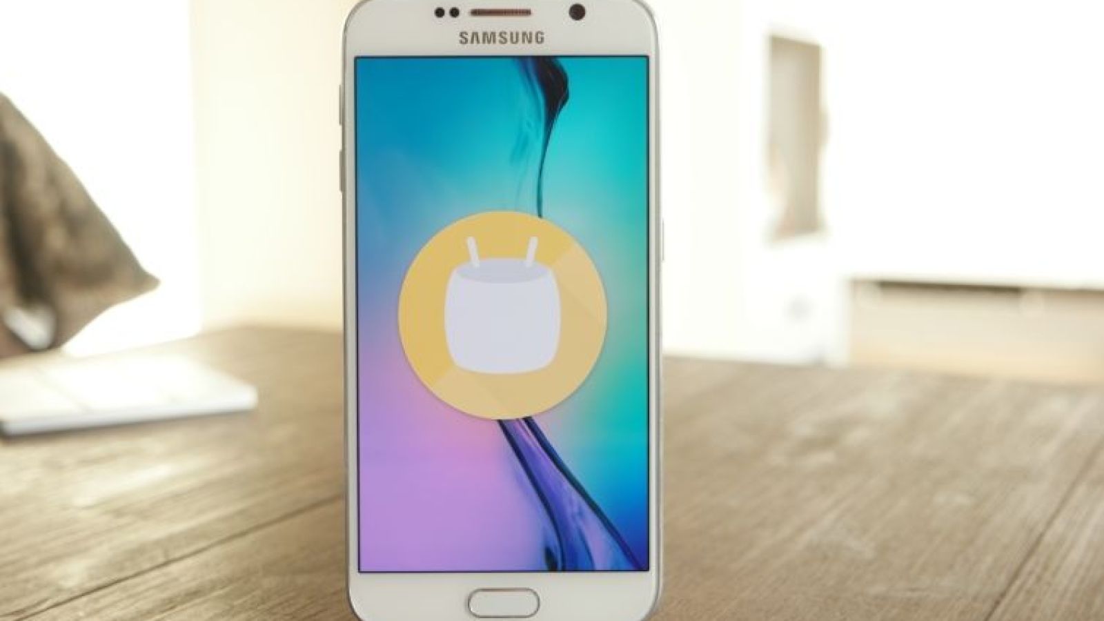 Galaxy S6 : Android 6.0 Marshmallow ne devrait plus trop tarder — Frandroid