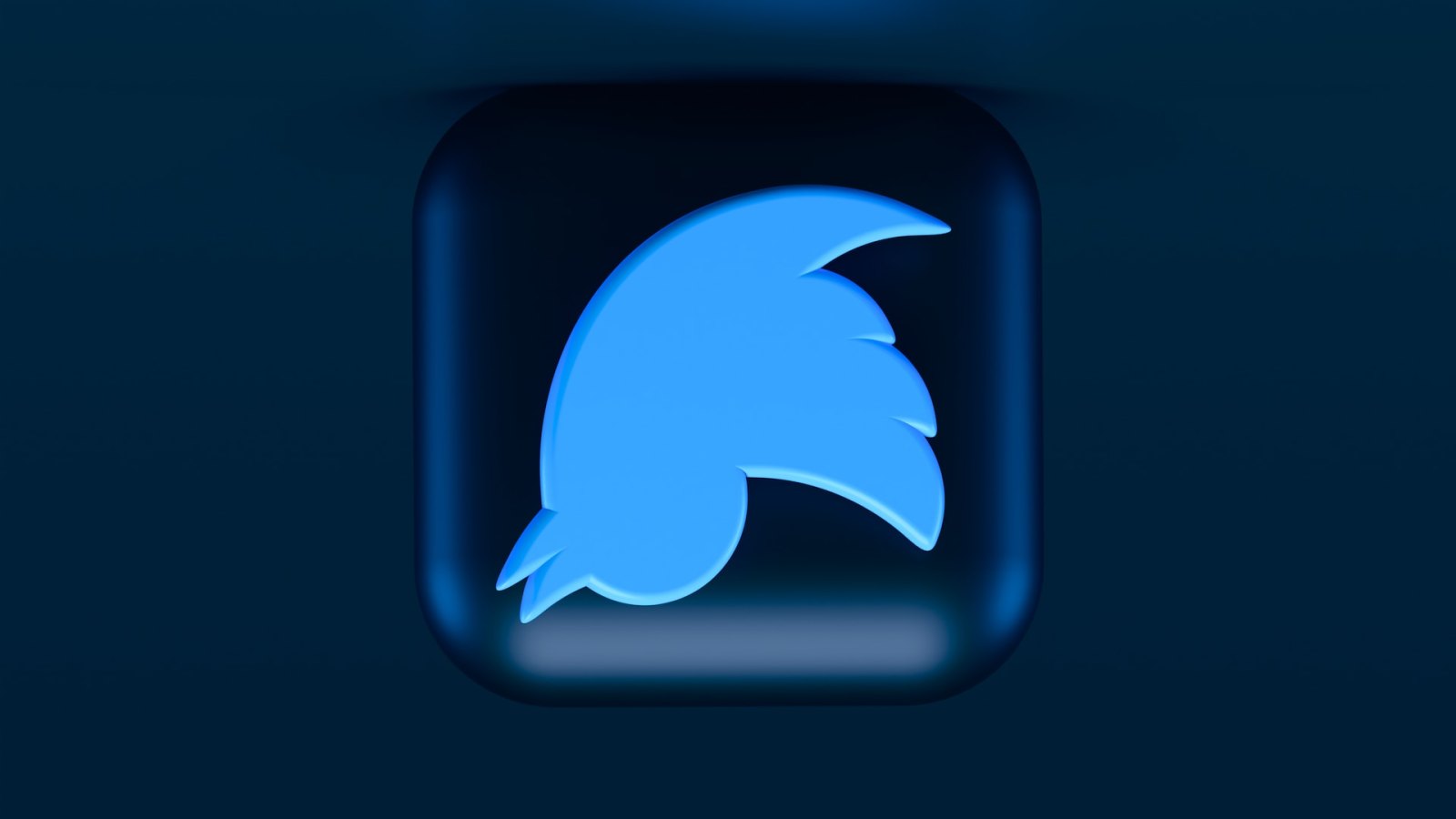 Elon Musk commence à tester le X (Twitter) payant pour tous — Frandroid