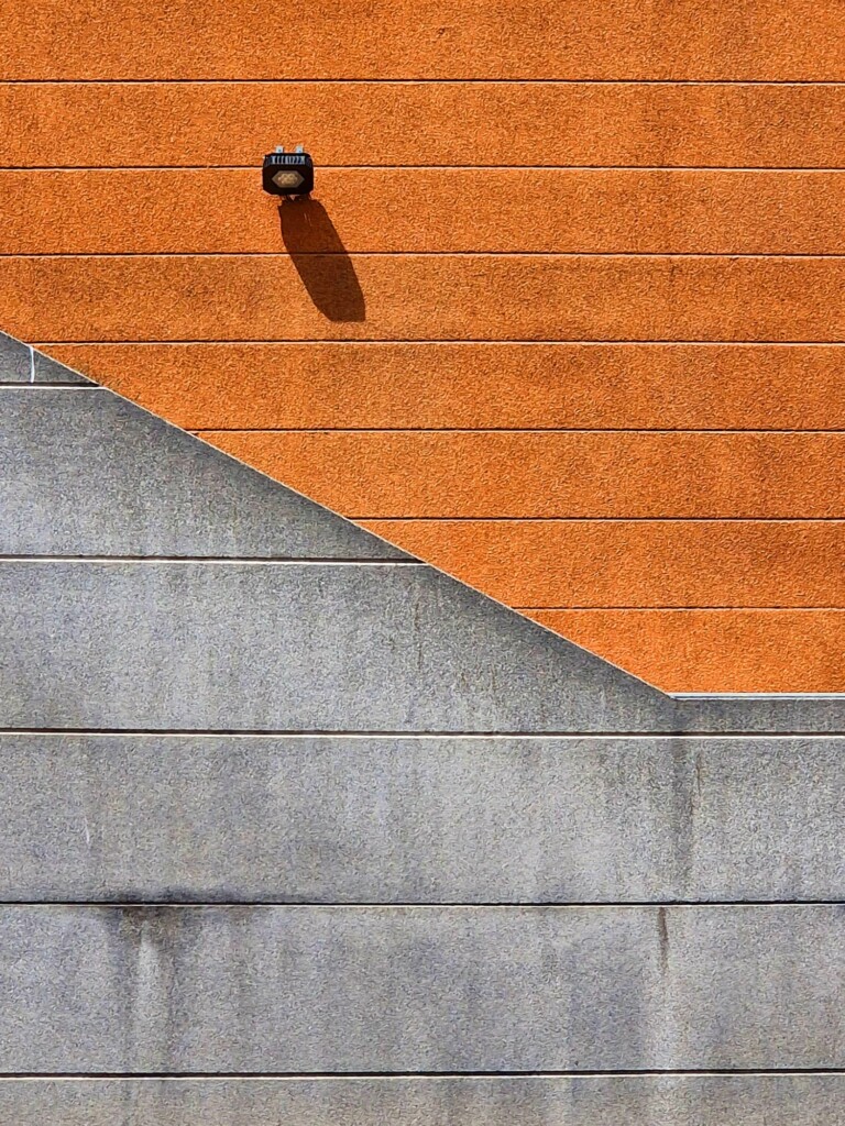 Des photos simples et saisissantes : notre guide pour se lancer la ...