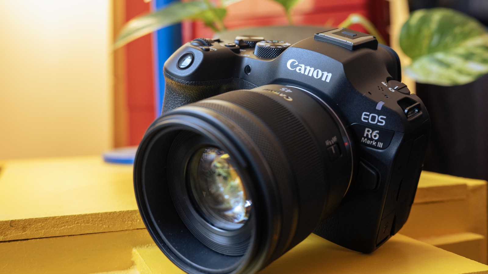 Canon EOS R6 Mark III review: an anticipated update to a popular camera ...