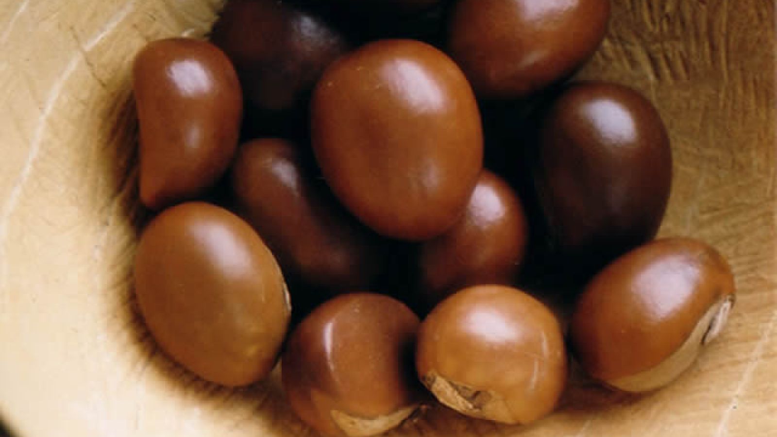 Le karité : qu'est-ce que c'est, comment l'utiliser, et quels produits ...