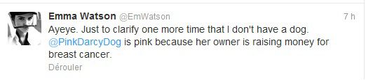 Emma Watson et le mystère du chien rose - Madmoizelle