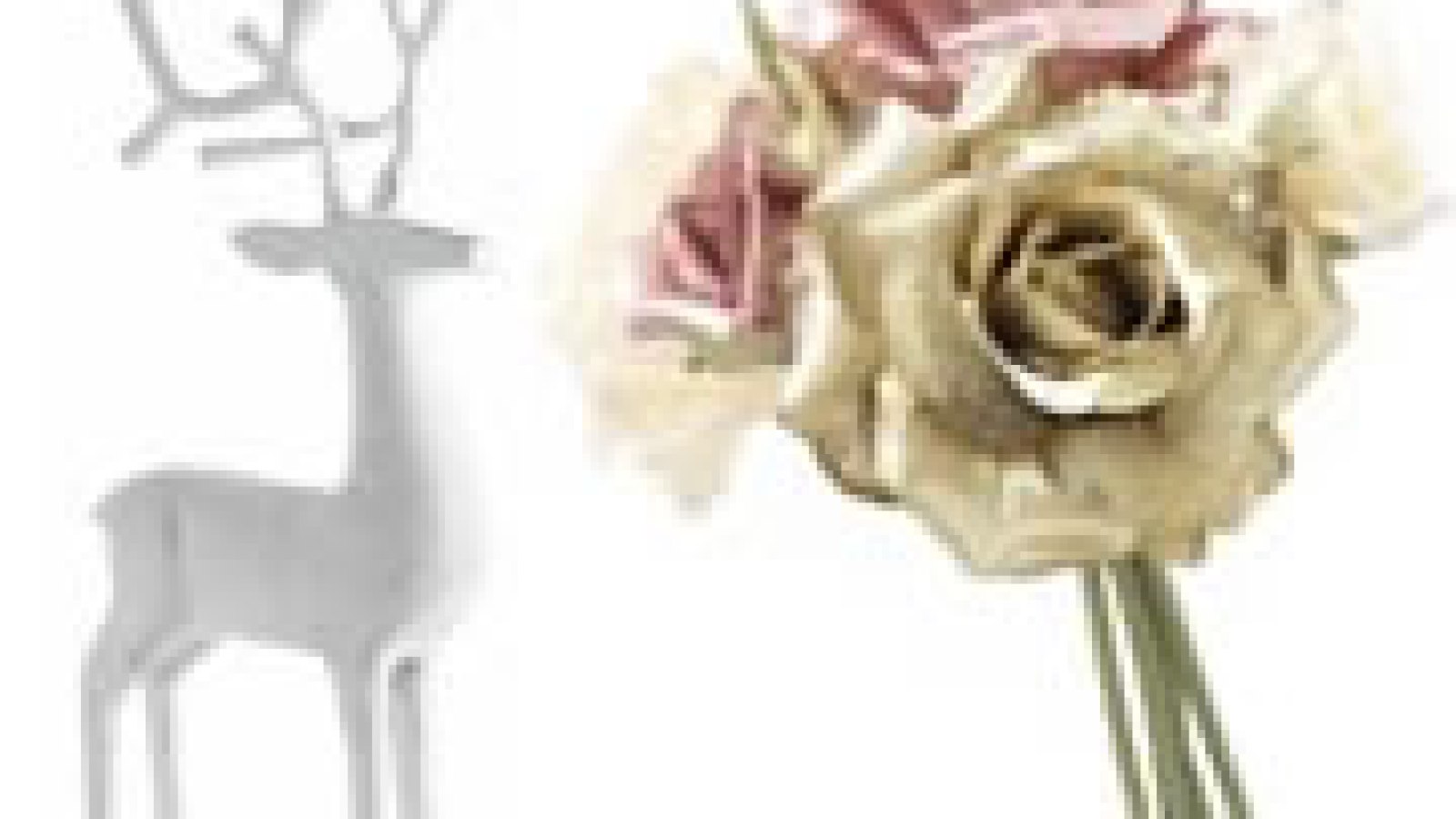 La collection de Noël 2012 chez Fly