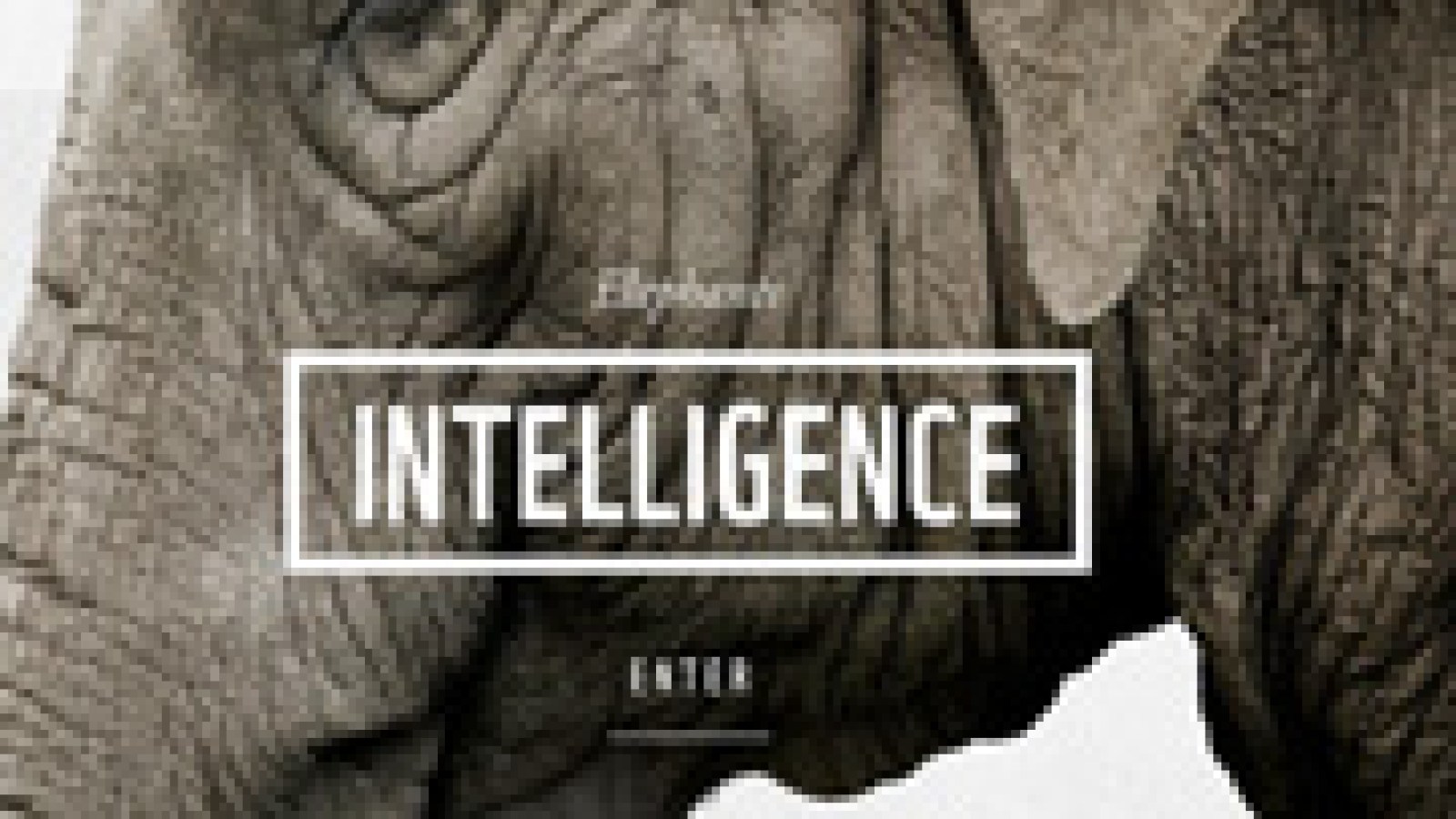 WWF Together : une application iPad de toute beauté