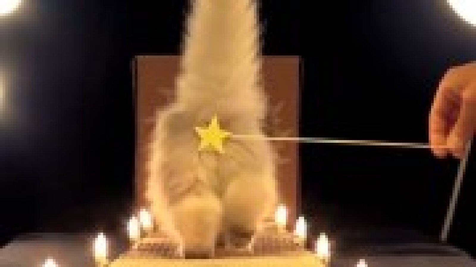 Les « Poopy Cat Dolls » et leur litière biodégradable sont de retour ...