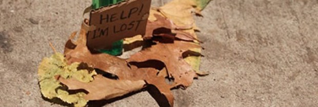 « The little lost project » donne vie aux objets perdus dans la rue ...