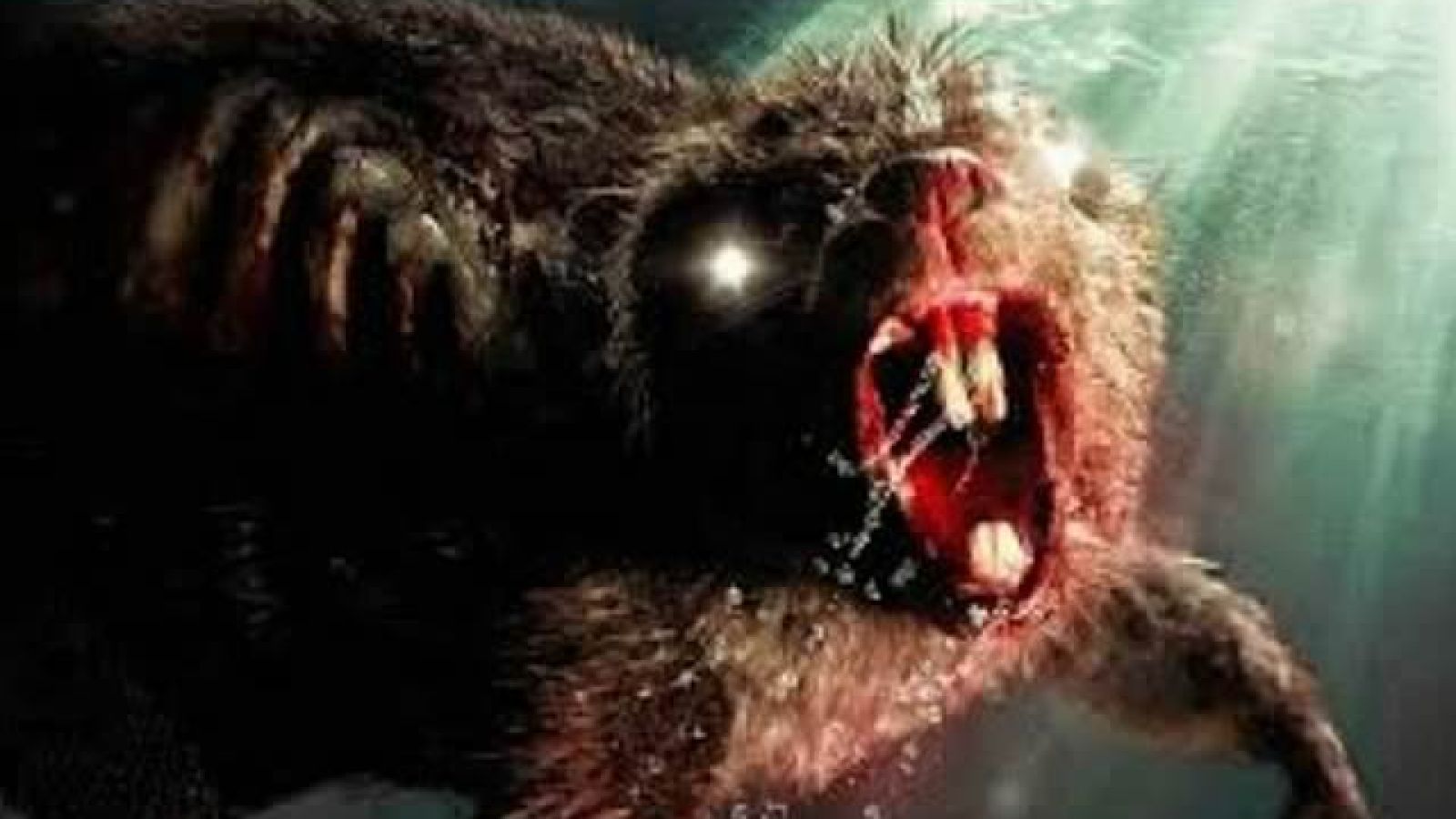 Zombeavers : des castors zombies et du bon goût - Madmoizelle