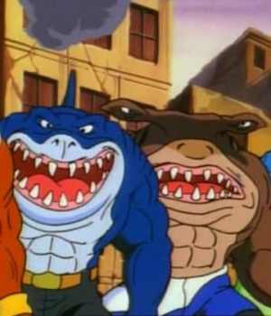 Requin - Madmoizelle