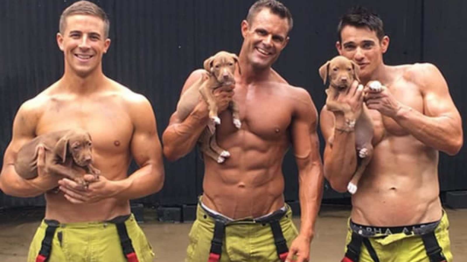 Des muscles et des chiots dans le calendrier 2017 des pompiers ...