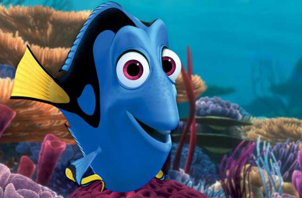 Les « Dory », poissons chirurgiens bleus, menacés d'extinction ...