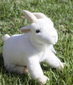 Peluche - Madmoizelle