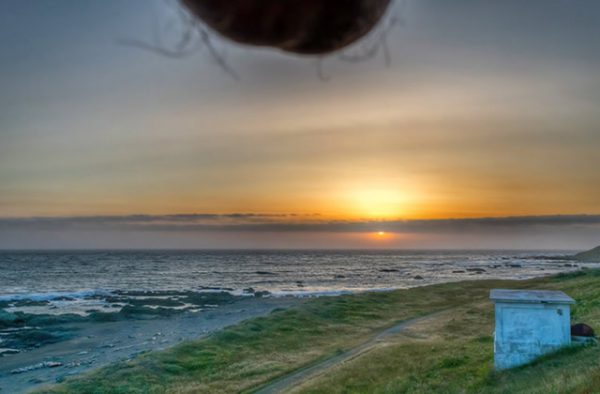 Le nutscaping, les photos de paysages avec des testicules