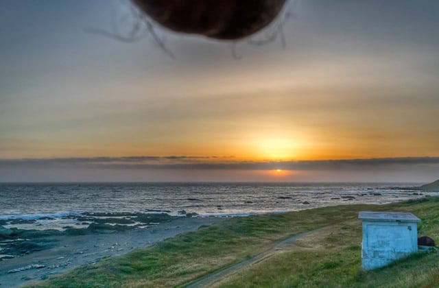 Le nutscaping, les photos de paysages avec des testicules