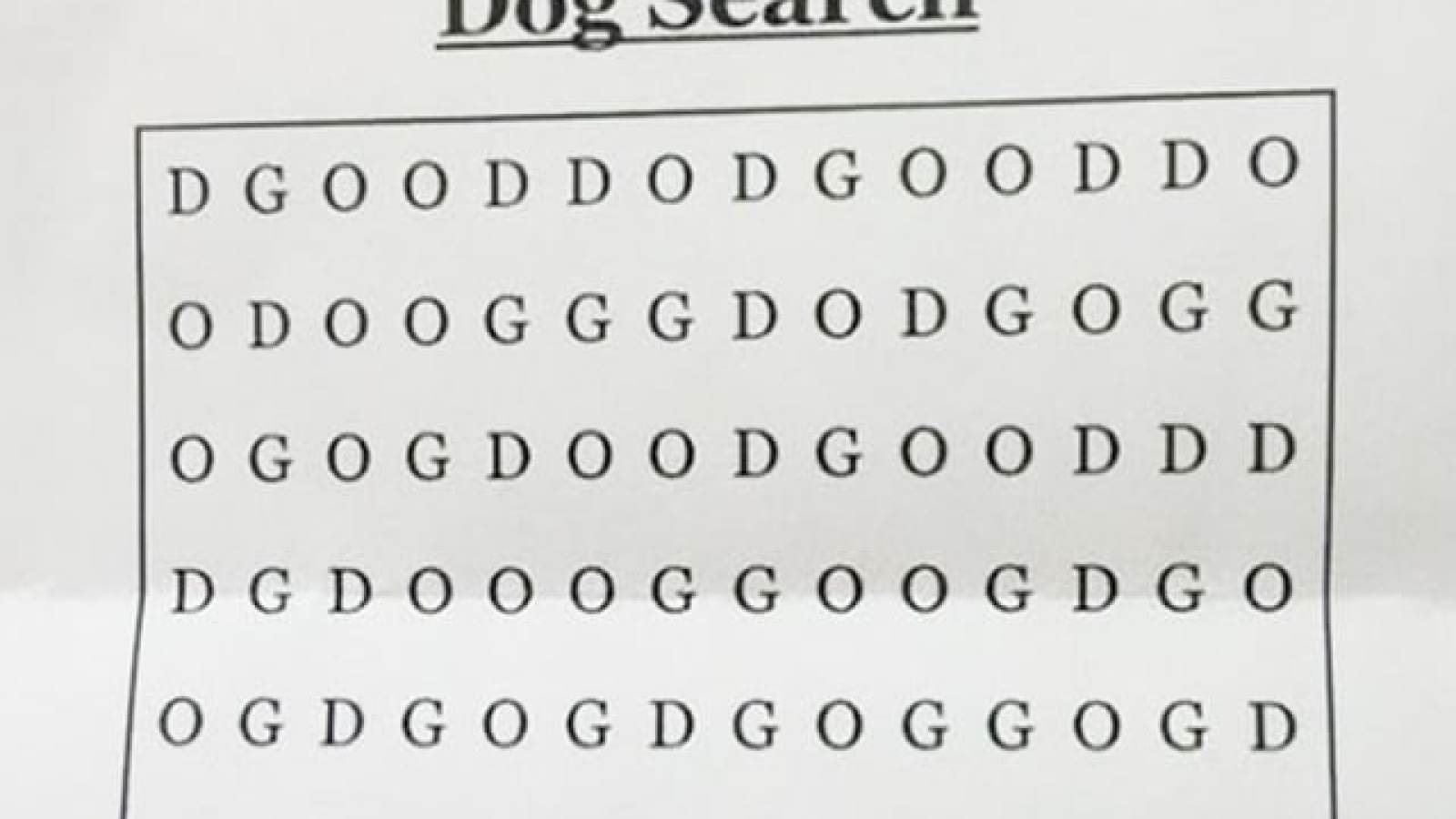 Trouver le mot caché DOG, le nouveau challenge Internet - madmoiZelle.com