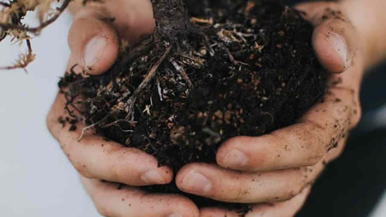 Témoignage expérience de woofing avec Wwoof France durant l'été