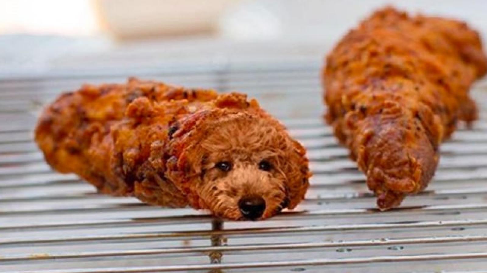 Dogs in food : le compte instagram avec des chiens dans les aliments