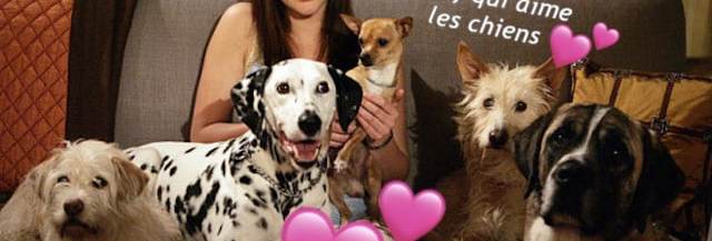 Amour des chiens : ma passion pour les chiens — Témoignage