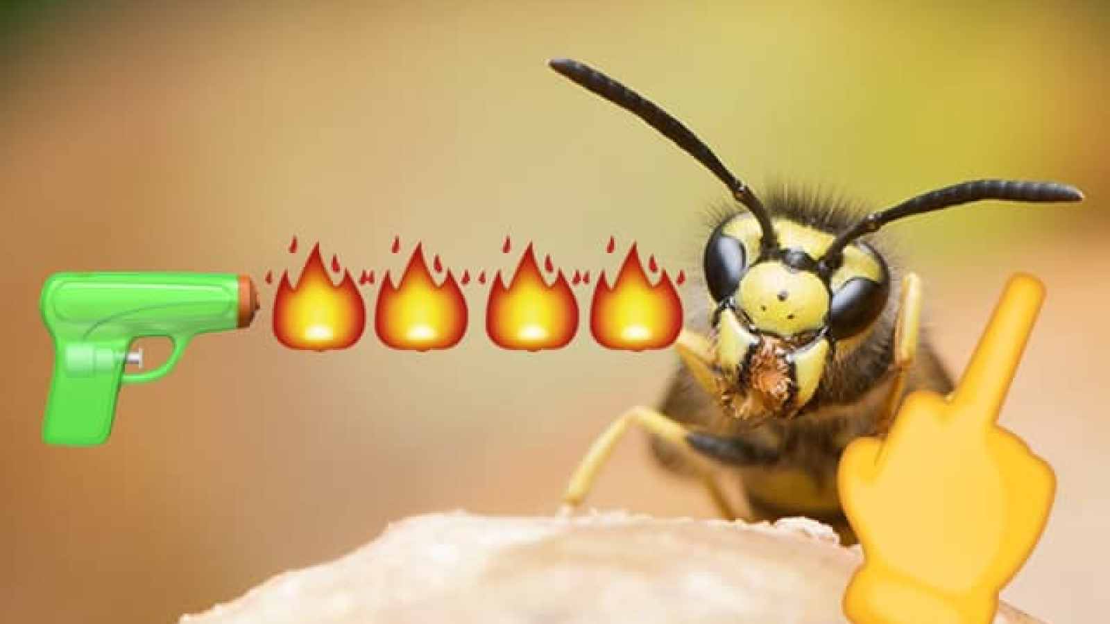 Insectes du printemps : le top 5 des pires bestioles