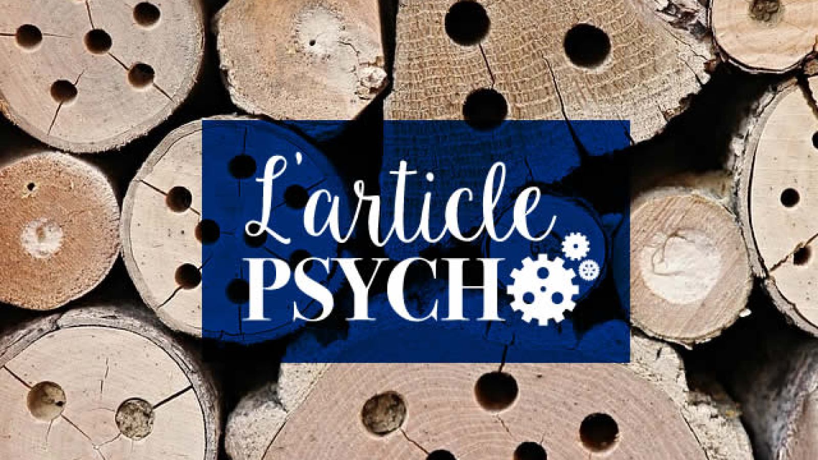 Trypophobie : la phobie des trous, d'où vient-elle