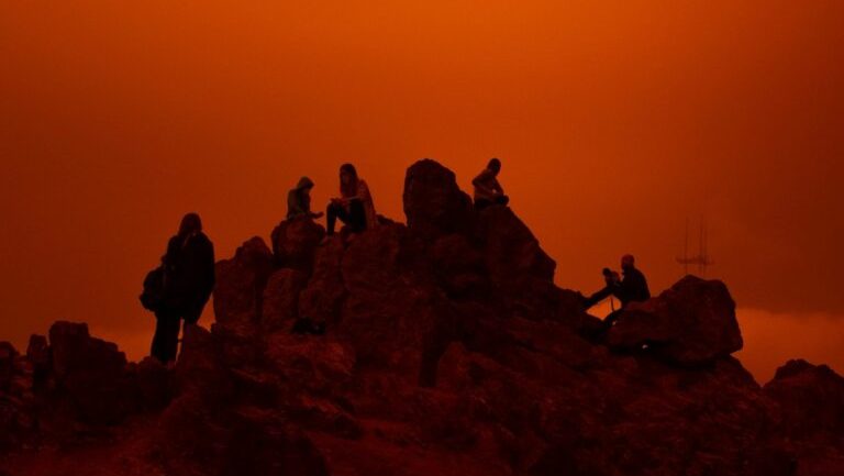 J'ai découvert la collapsologie, j'ai été très déprimée... et j'ai ...