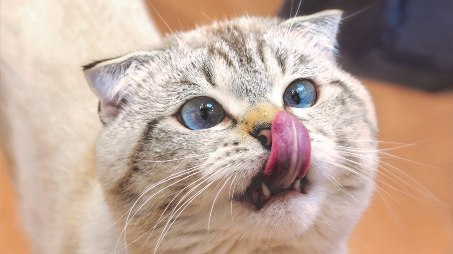 Générateur d'avatars : créer son avatar avec ce générateur