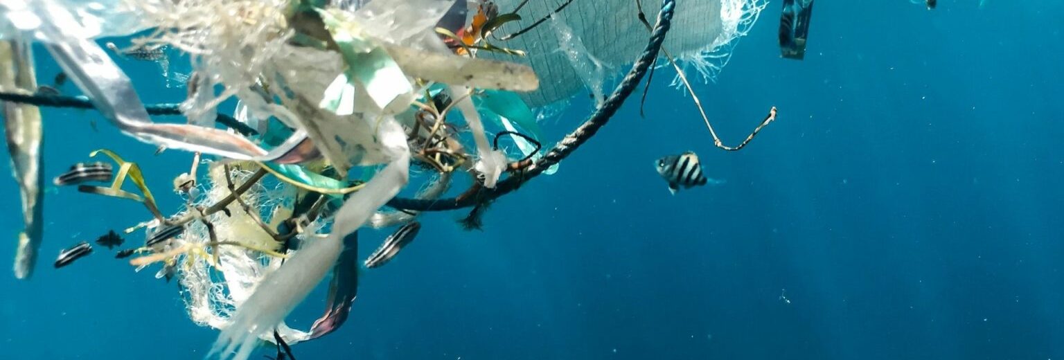 WWF alerte : la pollution plastique dans les océans doit être traitée ...