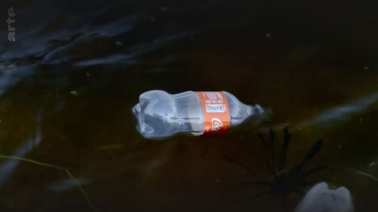 Spontex et son hérisson - ah, l'amour... - Madmoizelle