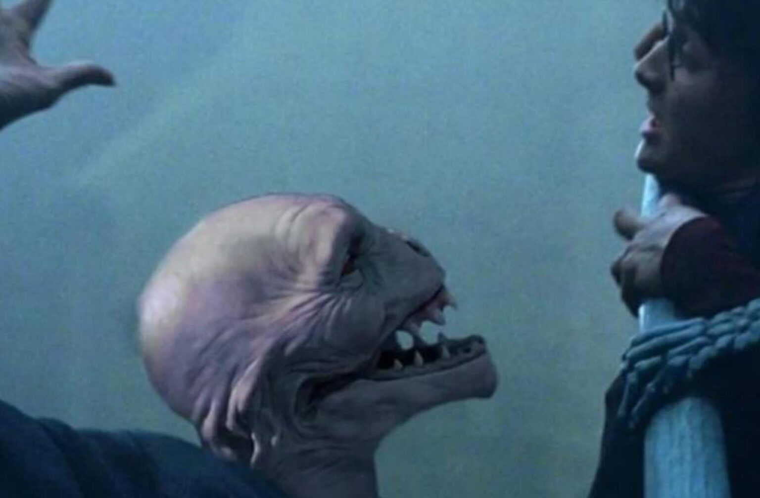 Voici à quoi devrait ressembler Voldemort pour être fidèle aux livres ...