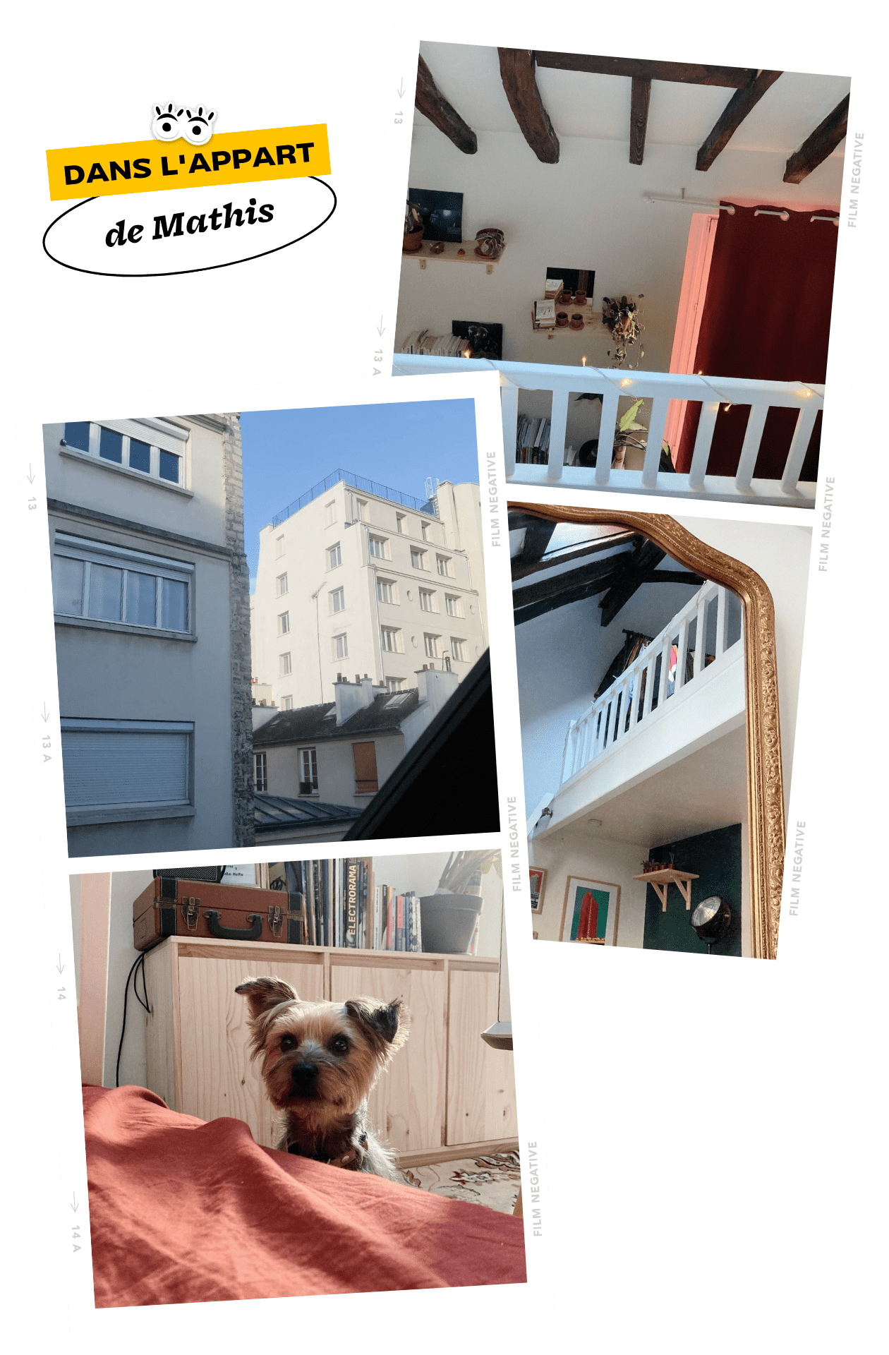 Dans l'appart de... Mathis : « J'adore voir mes livres, ça me donne l ...