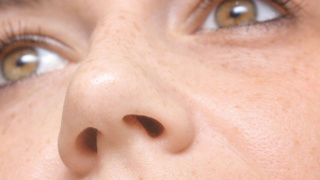 Le nez qui grossit pendant la grossesse ? Qu'est-ce que c'est que ça ...