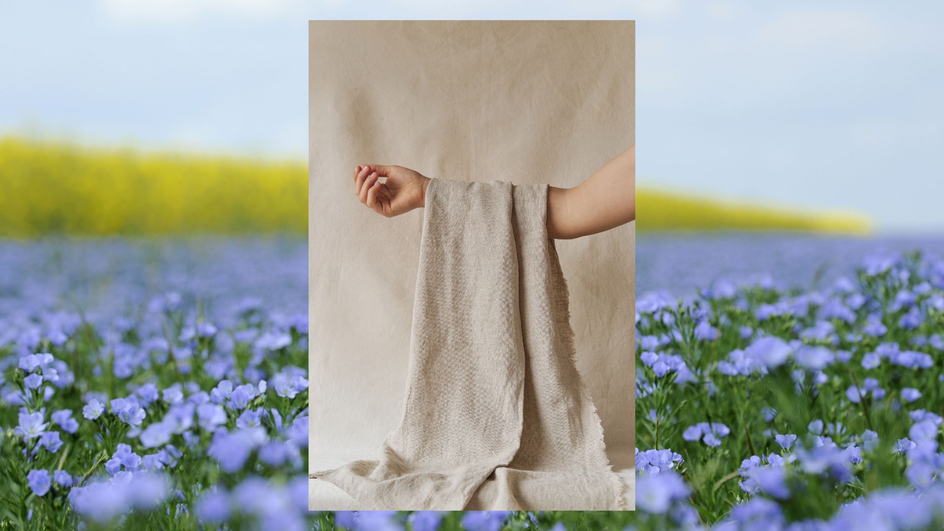 Qu’est ce que le lin ? Tout savoir sur cette matière naturelle végétale ...