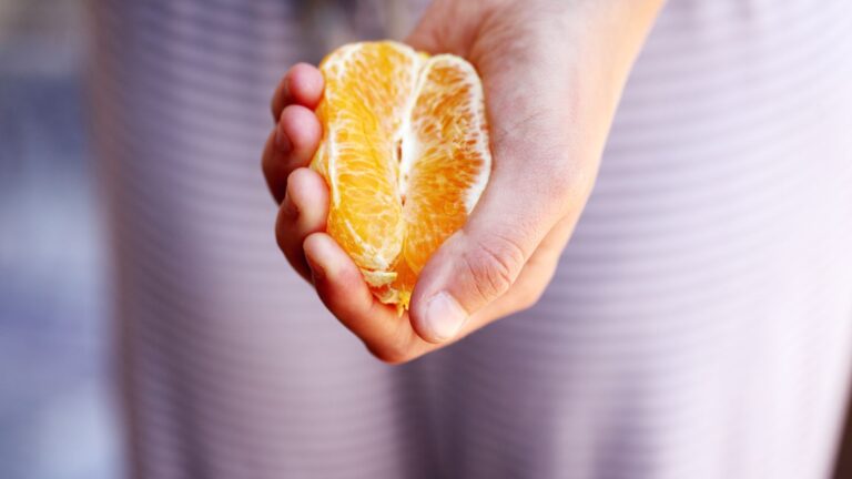 Anatomie de la vulve : où se trouve la vulve ? À quoi ressemble-t-elle