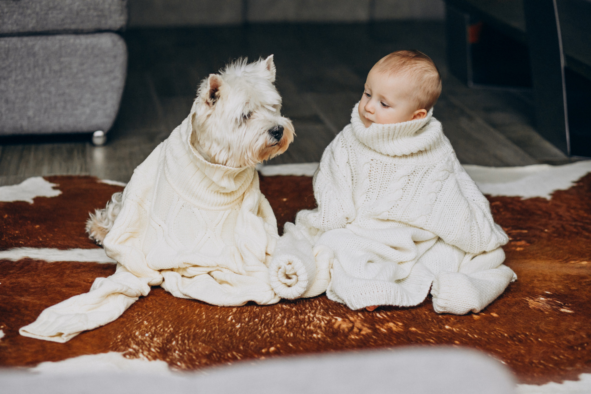 Les chiens apprennent-ils les mots comme les bébés ? Ce que dit la ...