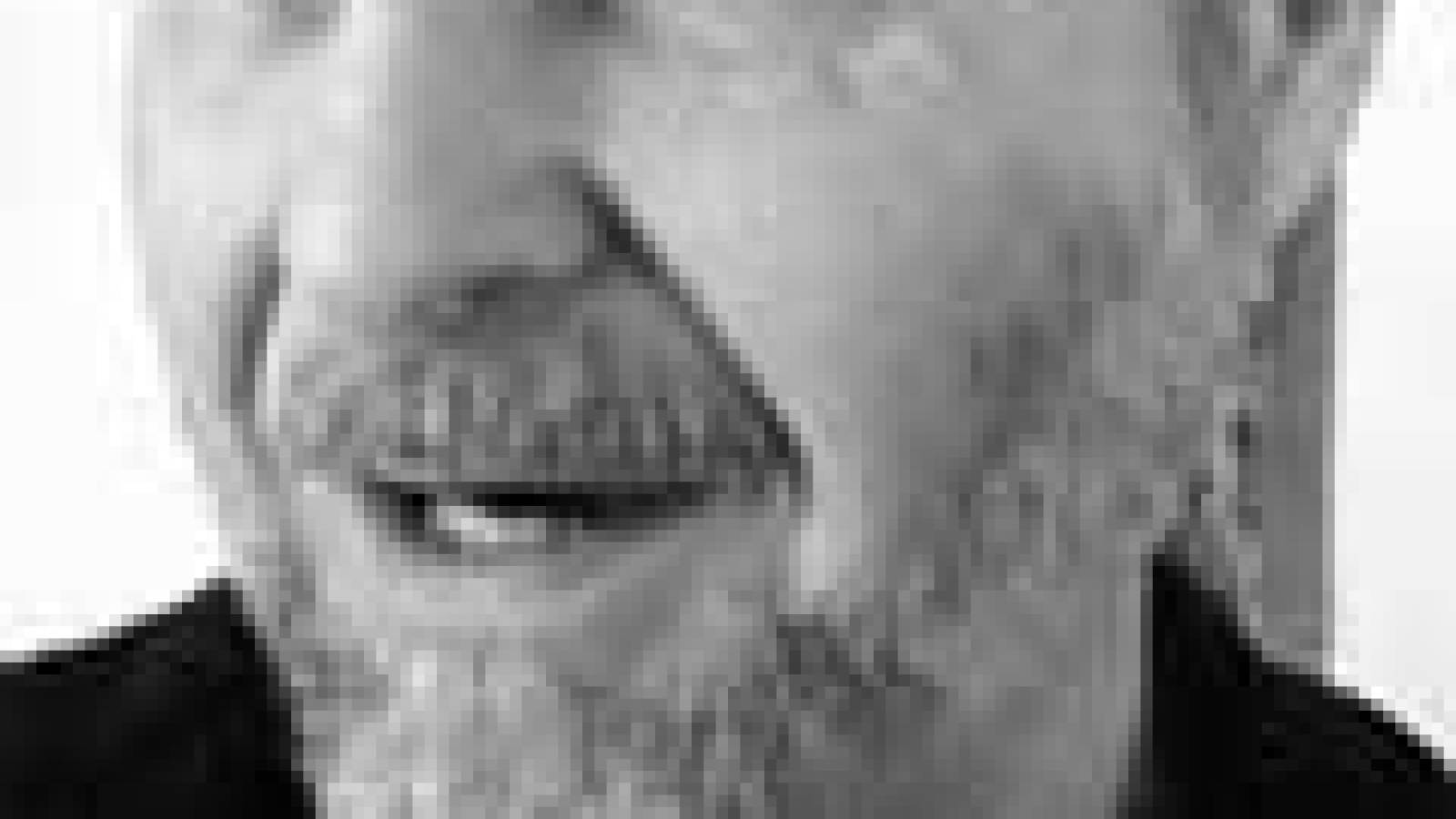 [p2pnet] Shareconnector se battra contre le BREIN - Numerama