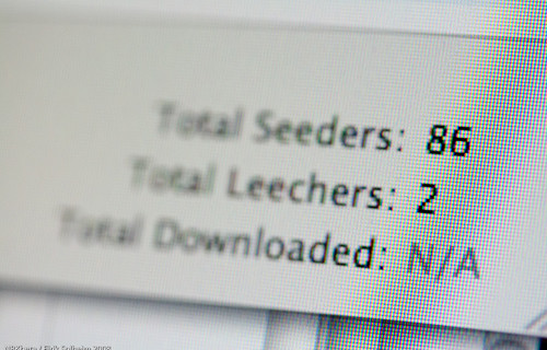 BTDigg, moteur de recherche BitTorrent sans tracker - Numerama