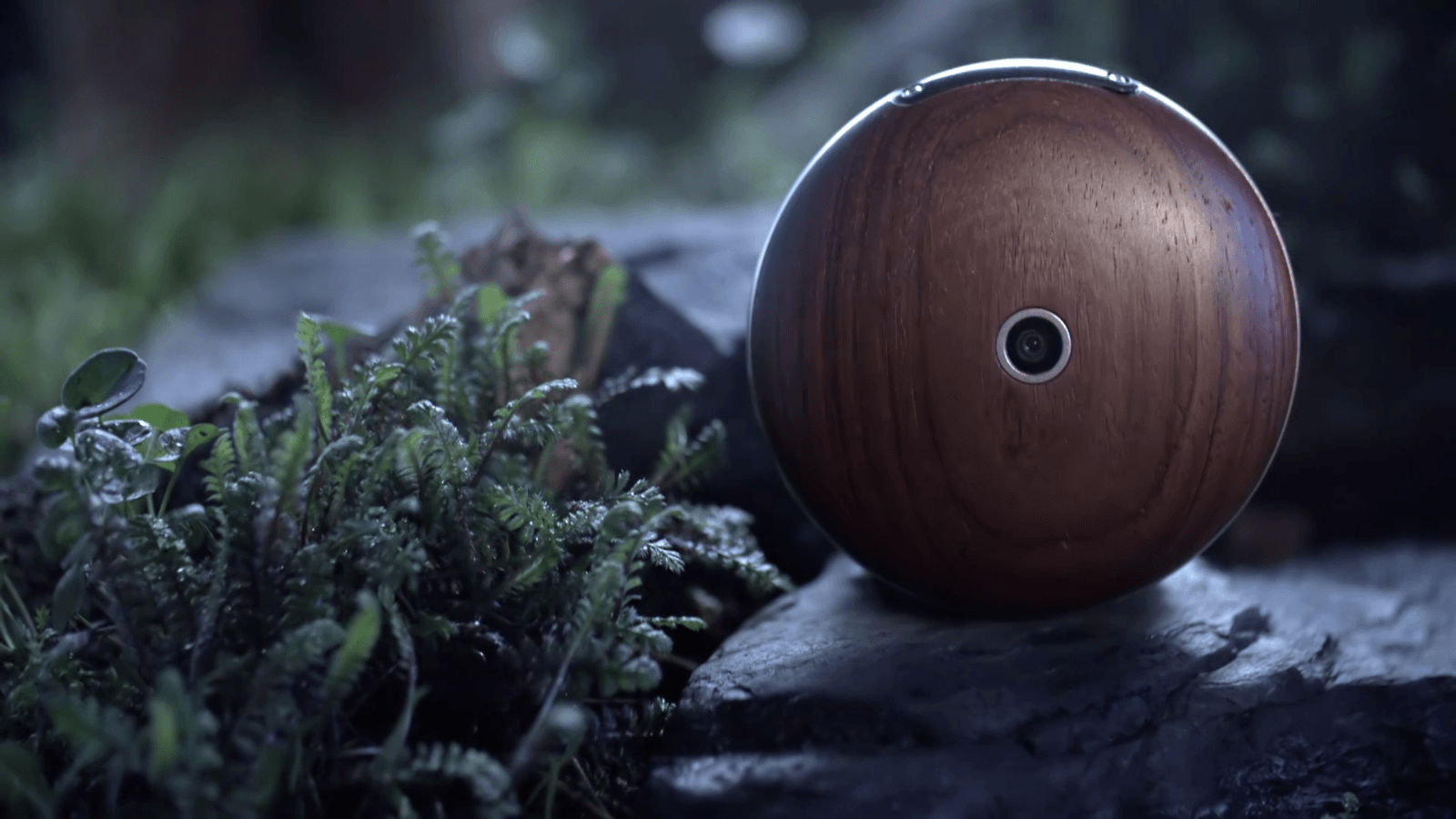 Runcible : le smartphone rond, équitable et sans notification est-il un ...
