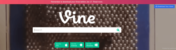 Il ne vous reste qu'une journée pour récupérer votre archive Vine ...