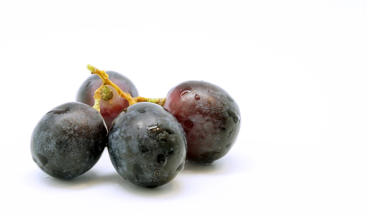 Les raisins explosent quand ils sont au micro-ondes et on sait enfin ...
