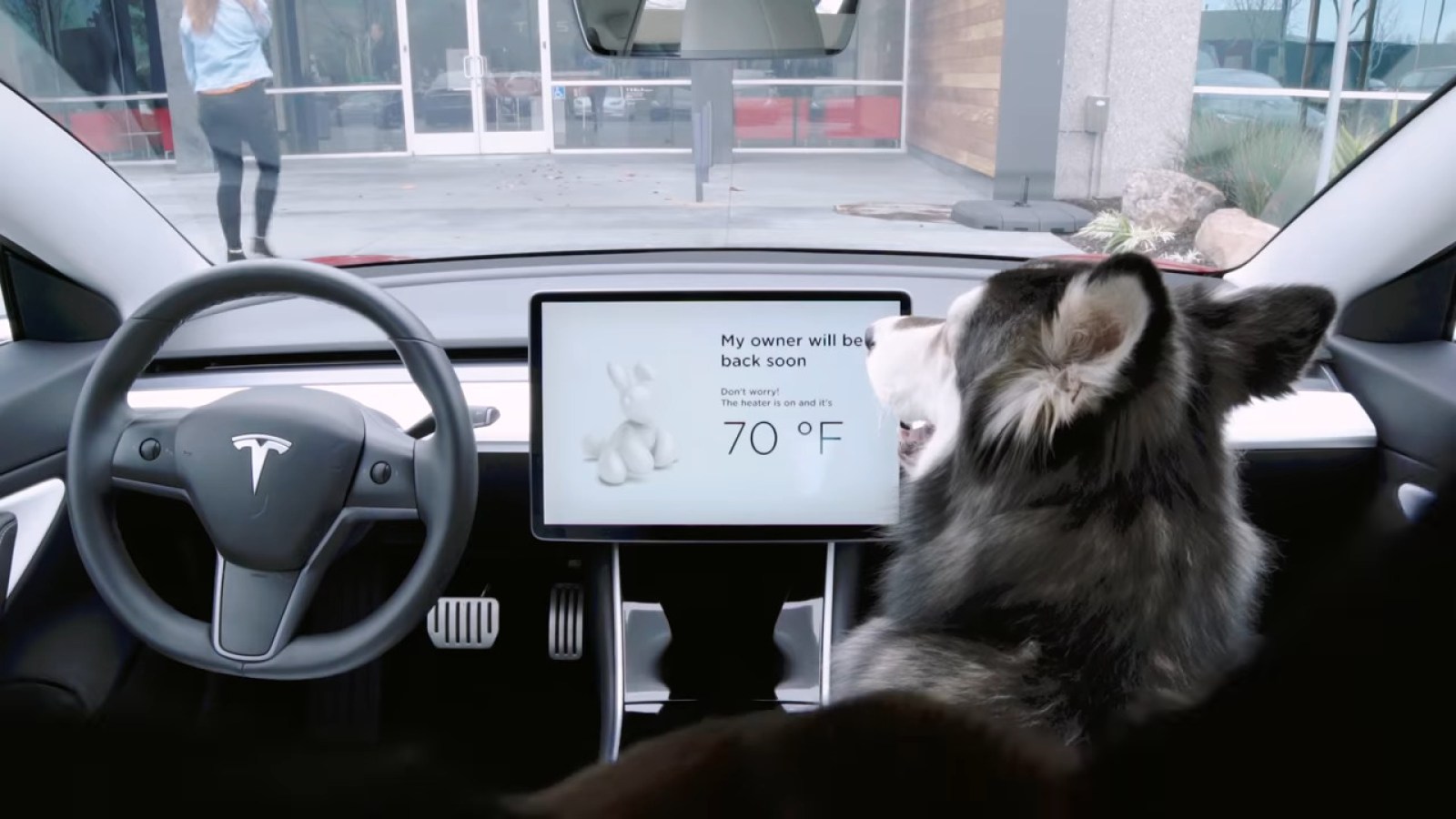Tesla corrige son « Dog Mode » qui a failli nuire à un chien resté à ...