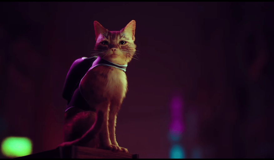 Stray - Avis, gameplay et actualités - Jeux Vidéo - Numerama