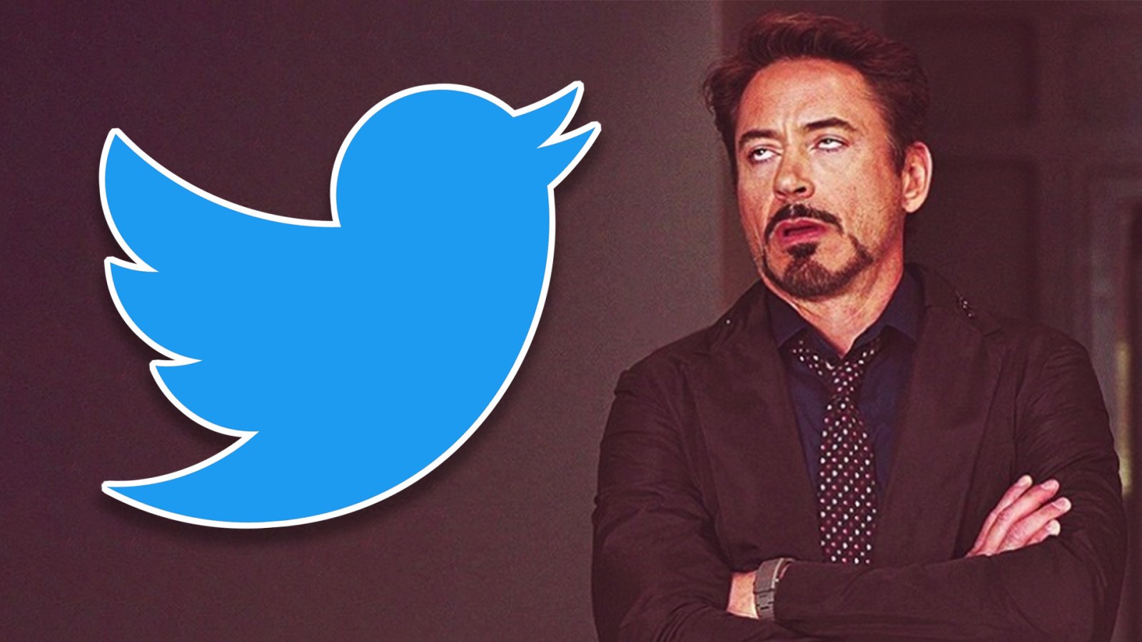 Twitter met encore le fil d'actualité sens dessus dessous - Numerama