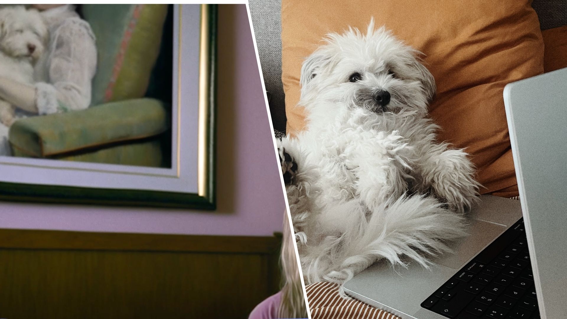 Elle a gagné 2 prix avec son film créé avec Midjourney : Anna Apter ...