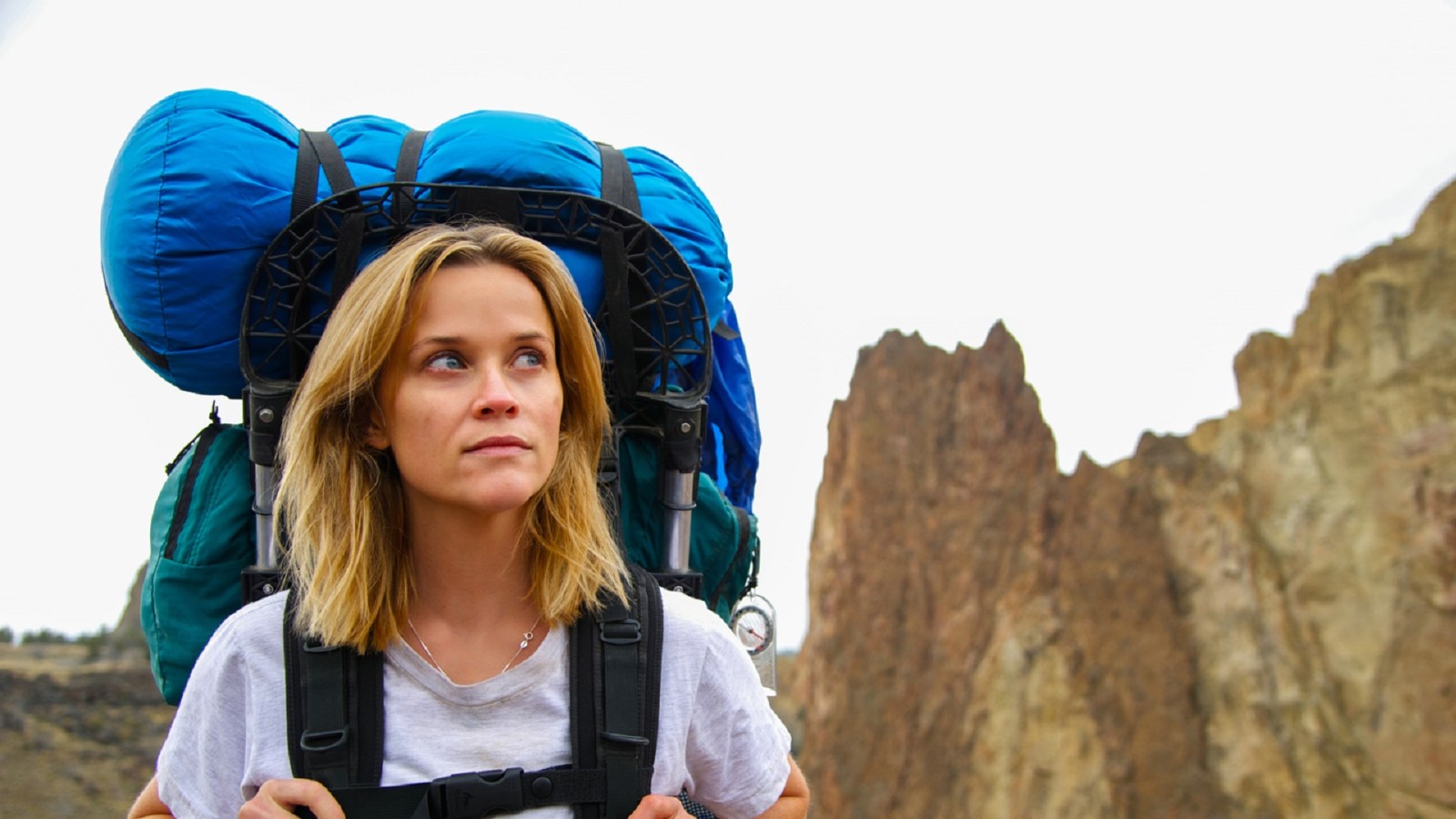 Wild - Streaming, casting, bandes-annonces et actualités sur le film ...