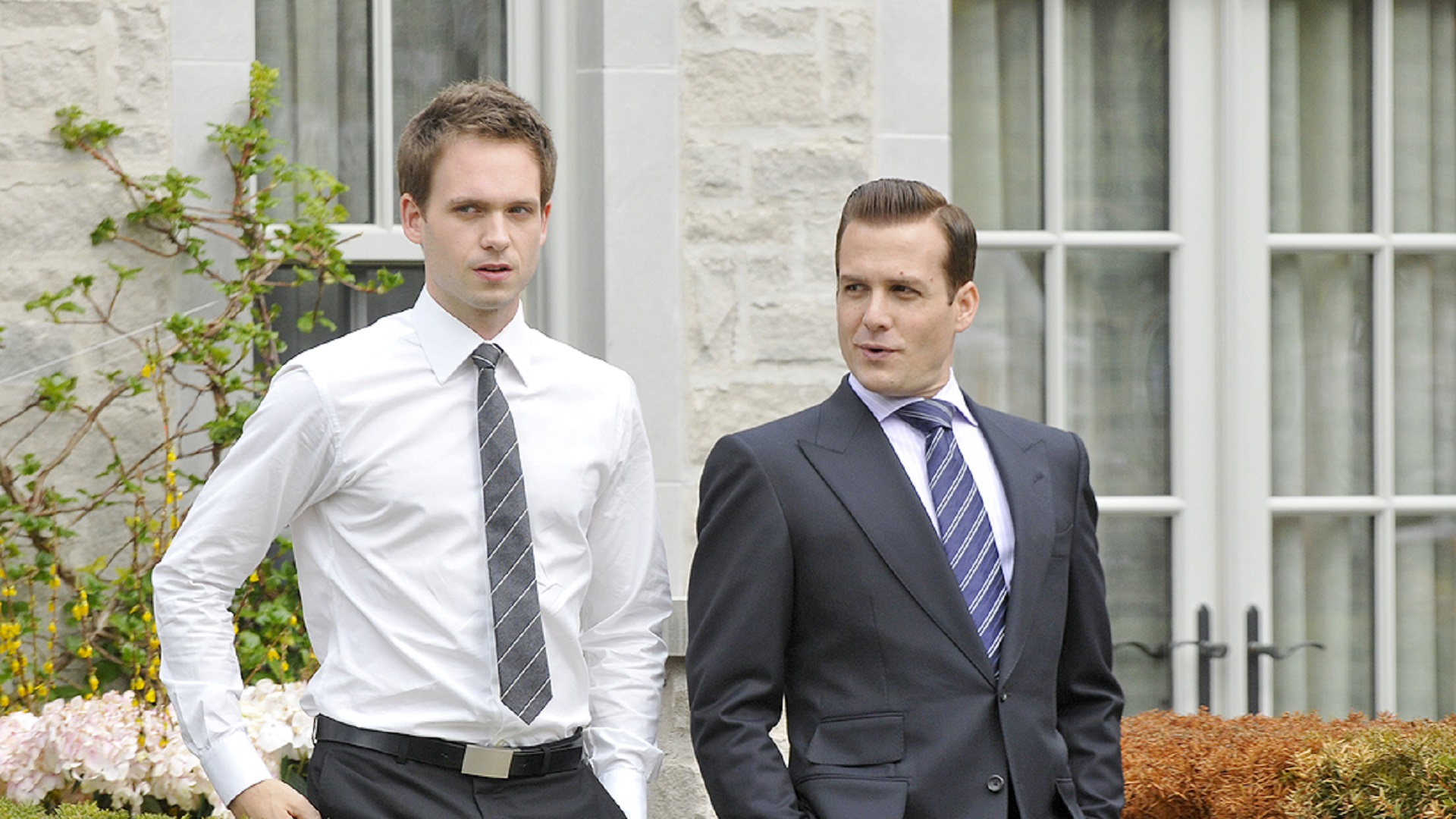 Suits - Streaming, casting, bandes-annonces et actualités sur la série ...