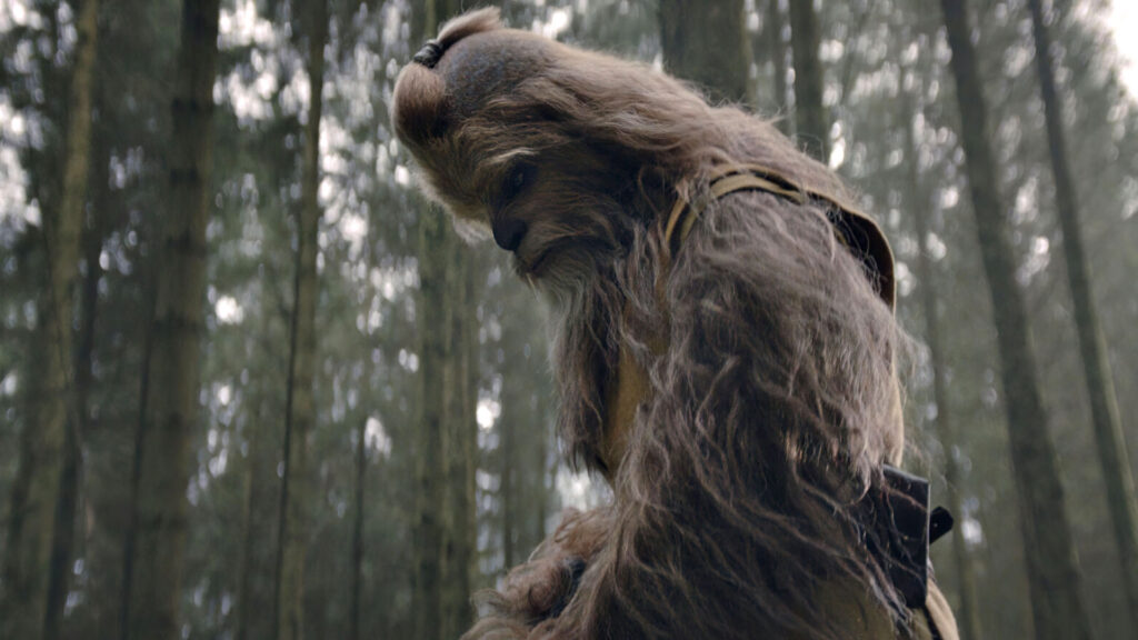 Confirmed: He is indeed a Wookie Jedi in The Acolyte - GAMINGDEPUTY