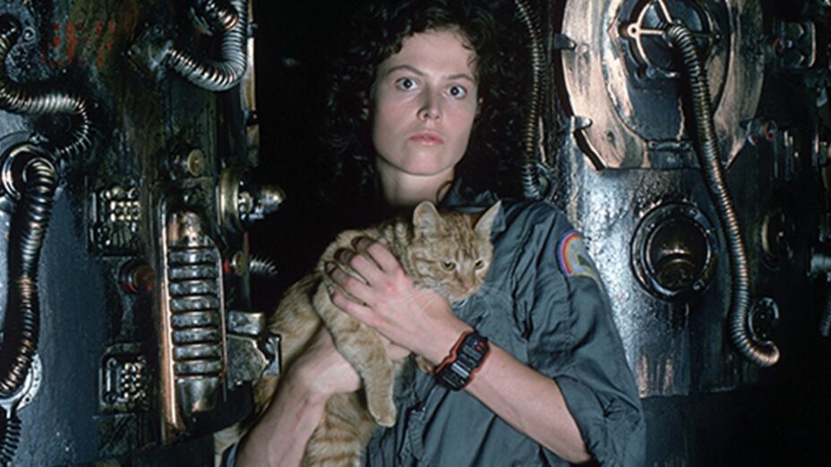 Alien 3 - Streaming, casting, bandes-annonces et actualités sur le film ...