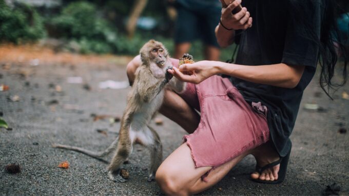 L'implant Neuralink décortiqué : comment marchent les interfaces ...
