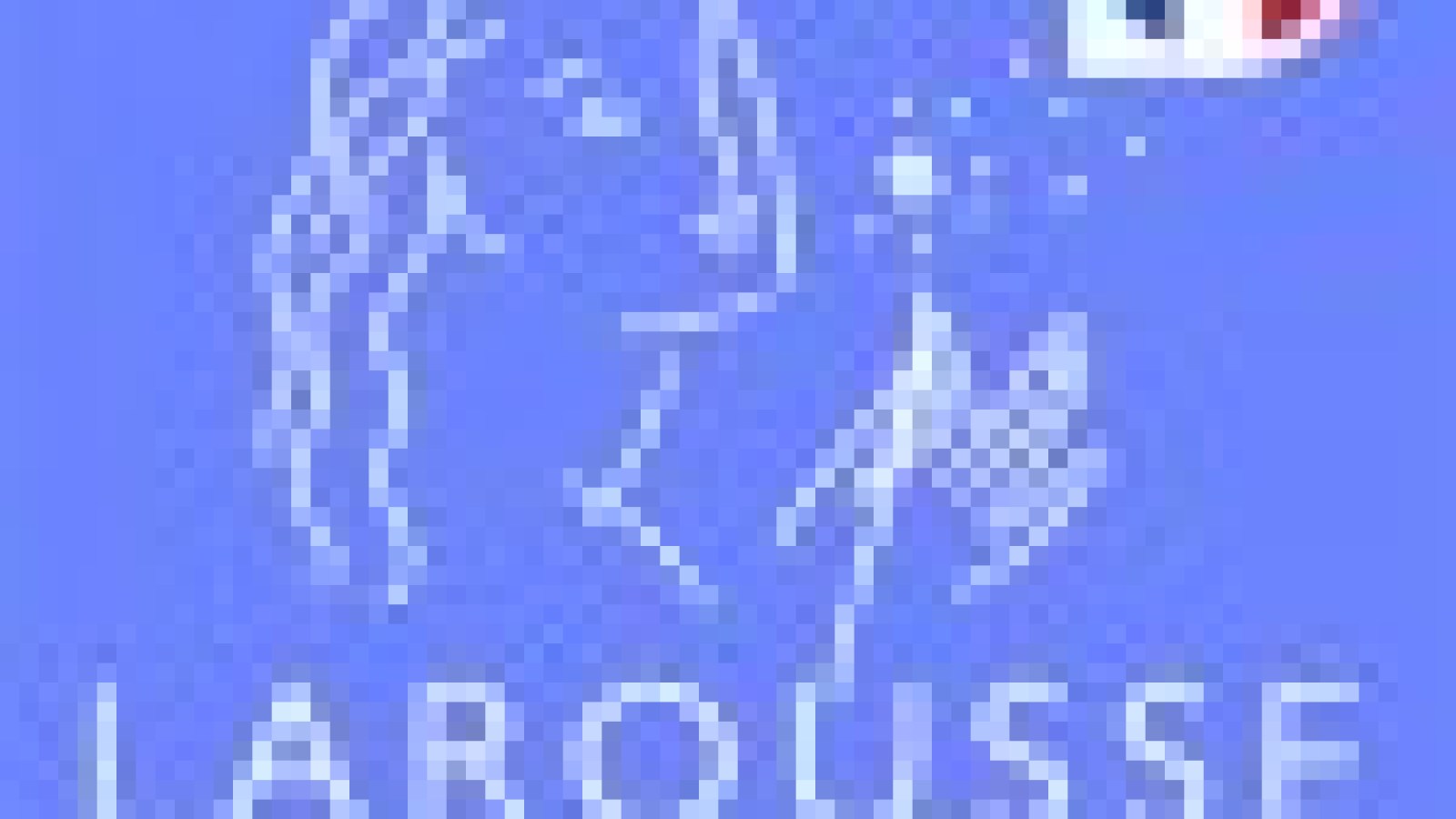 Télécharger Dictionnaire Larousse Français gratuitement sur Android ...